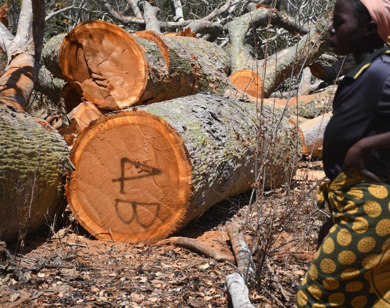 Gevin Company Limited